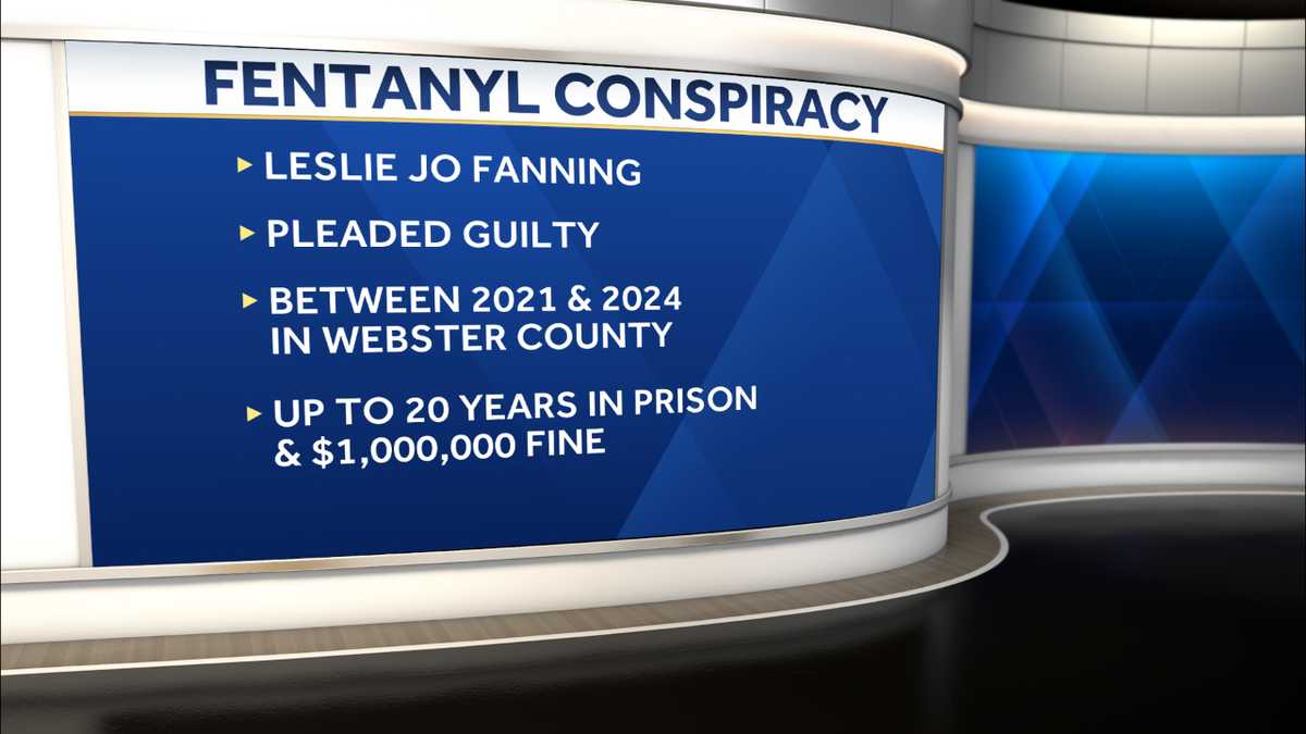 Iowa woman faces up to 20 years for distributing fentanyl pills