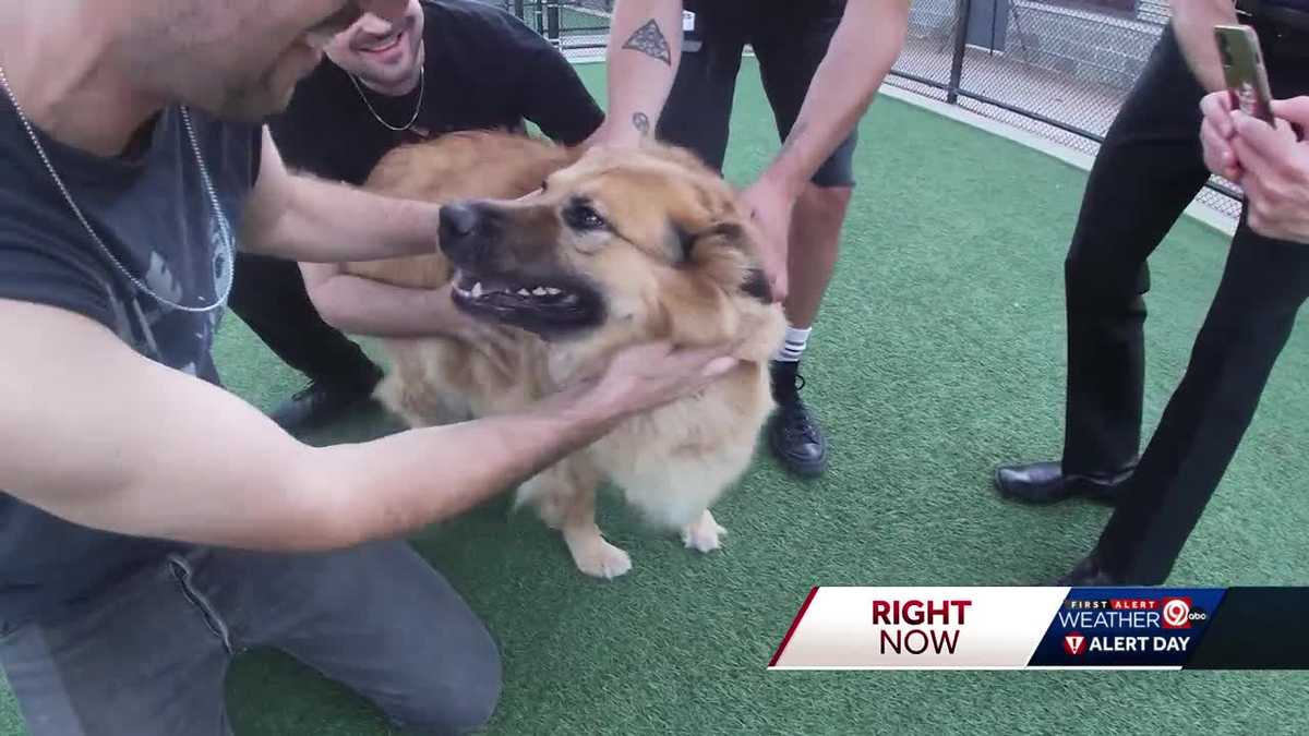 KC Pet Project hosts concert fundraiser benefiting shelter pets