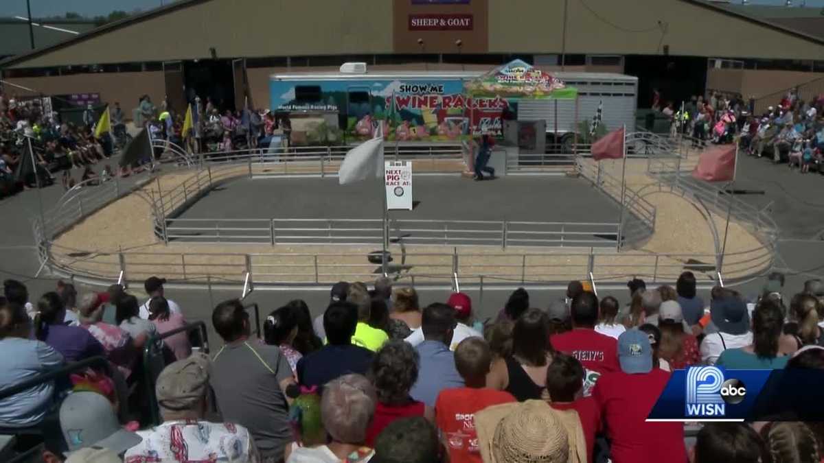 Wisconsin State Fair pig races