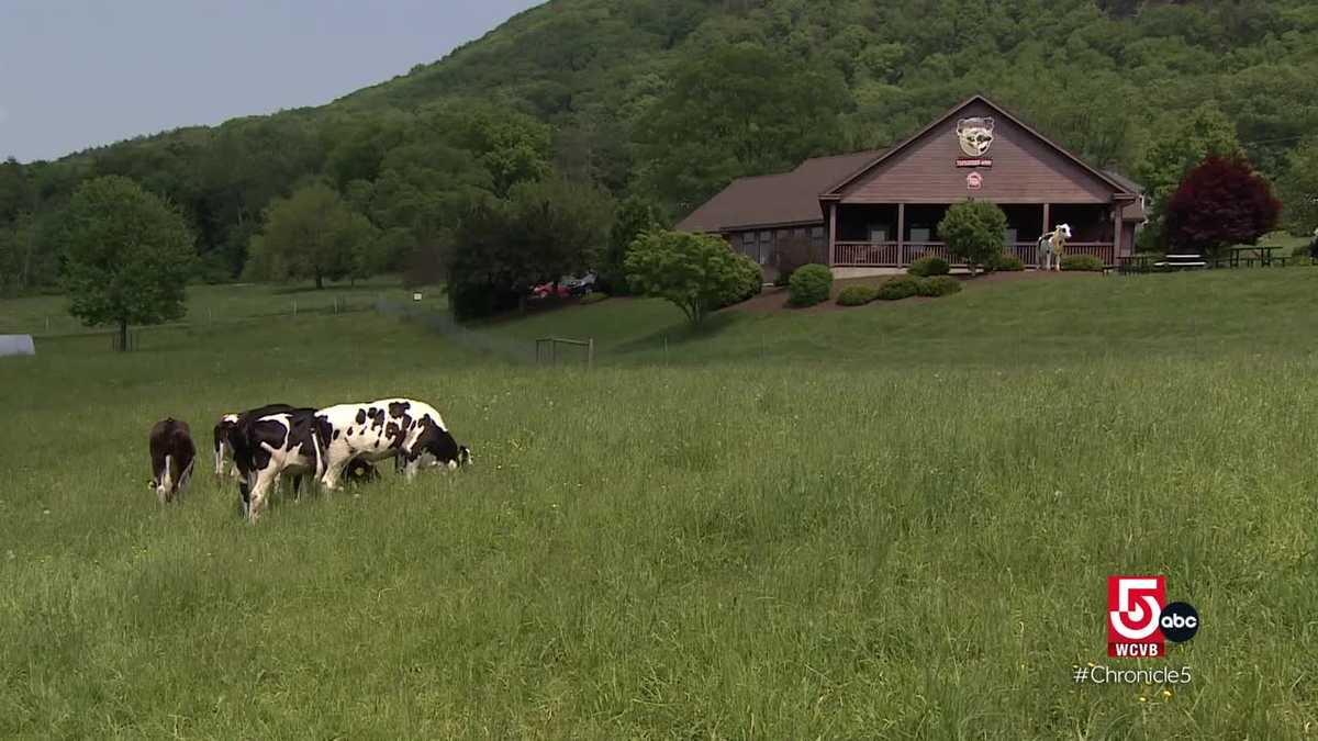 New technology helps local dairy farms meet sustainability goals
