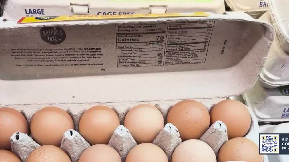 Consumer Reports breaks down the differences between egg labels
