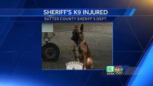 Sutter Co. Sheriff's K9 unit needs community's help