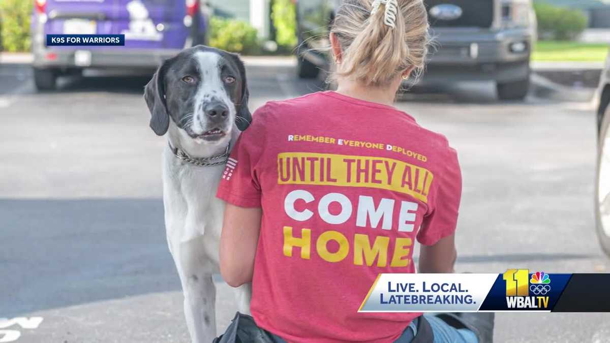 Dogs paired with veterans offered second life
