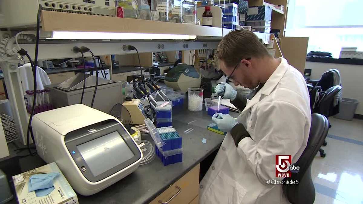 Advances in treatments for orphan diseases