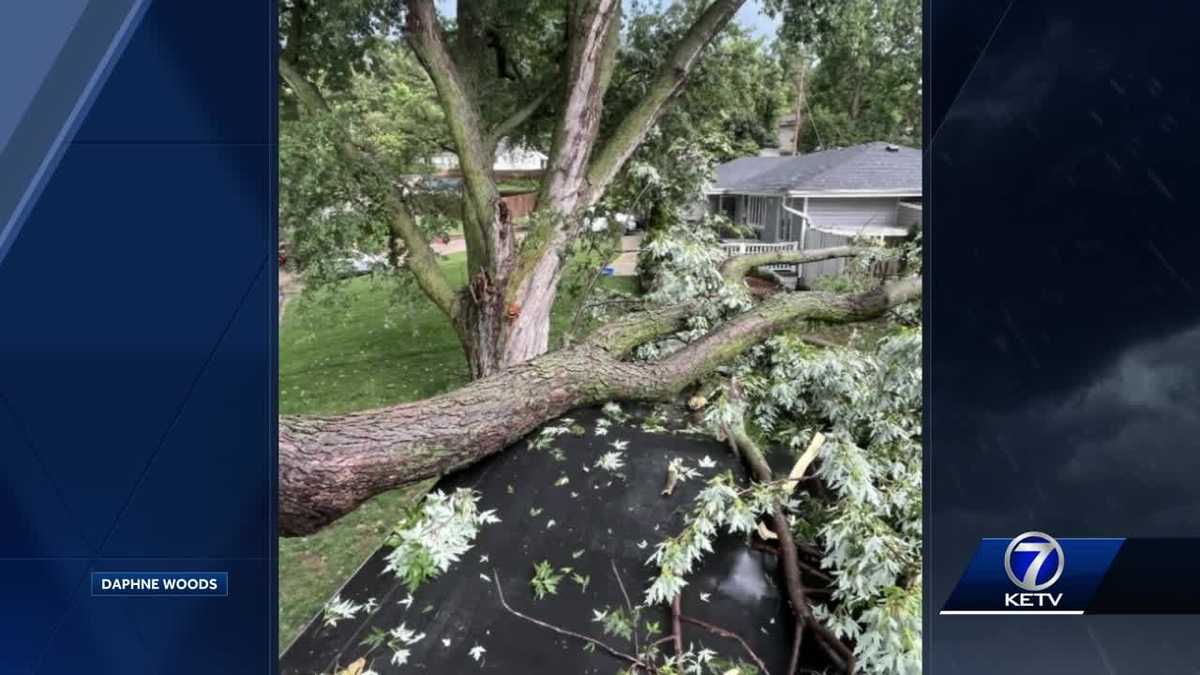 KETV viewers share hail, tree damage from Tuesday storms