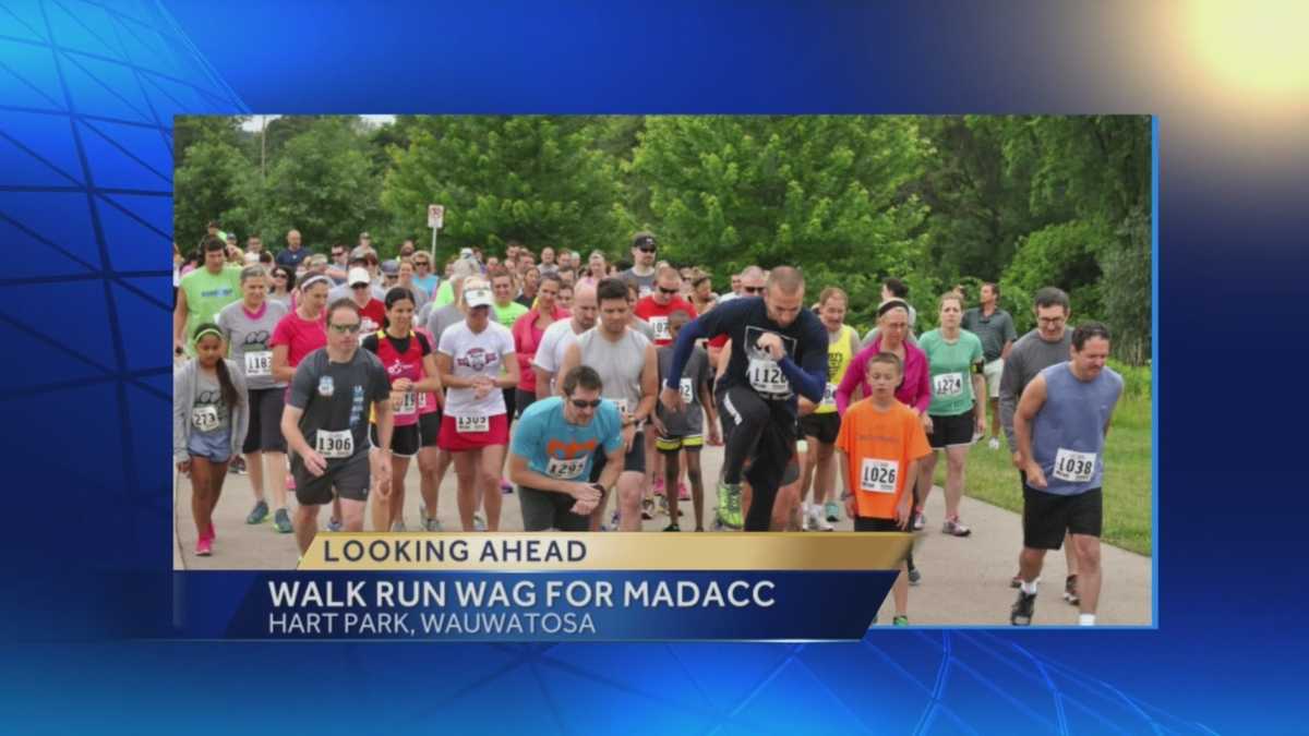 MADACC Run and Walk