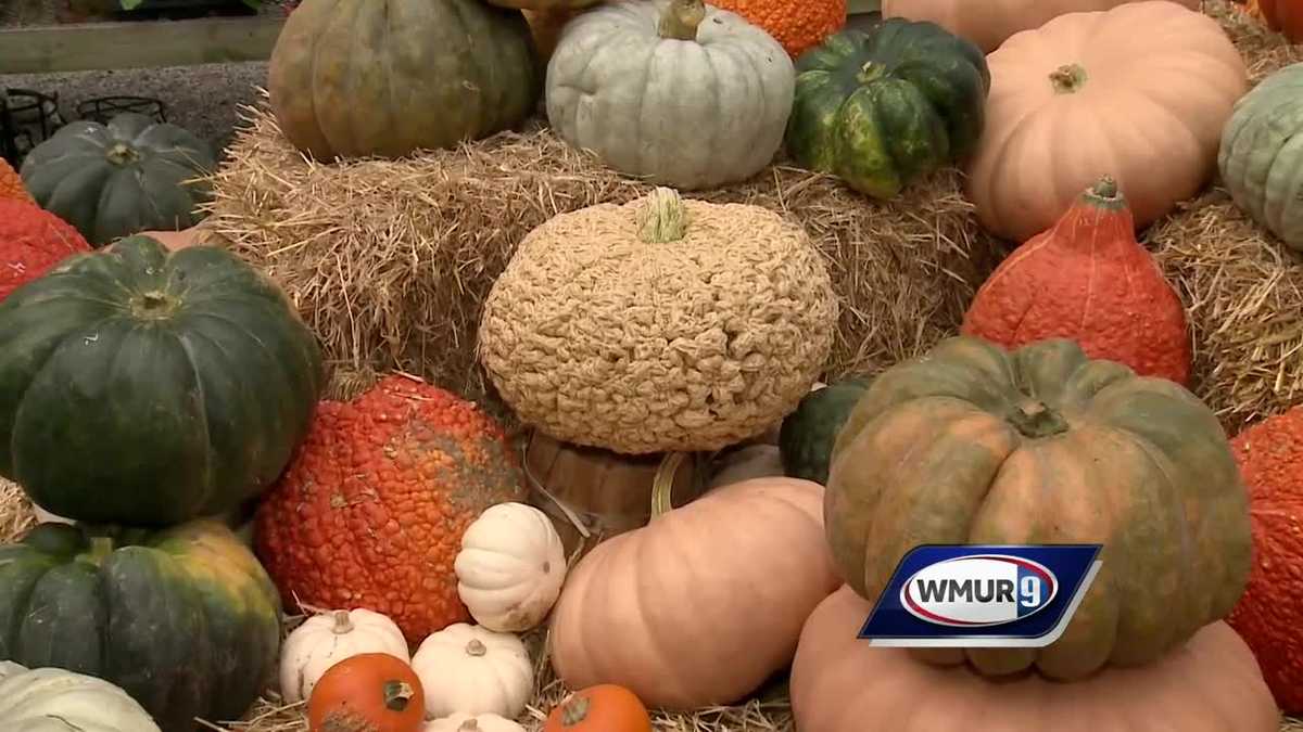 Grow it Green: Pumpkins, squashes