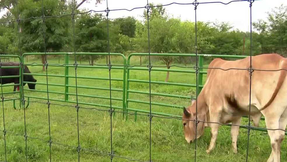 Scatter Joy Acres is expanding efforts to southwest Florida