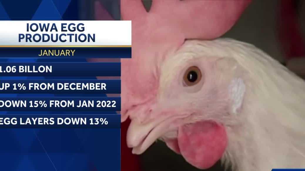 Iowa's production of eggs is down 15% from where it was in 2022