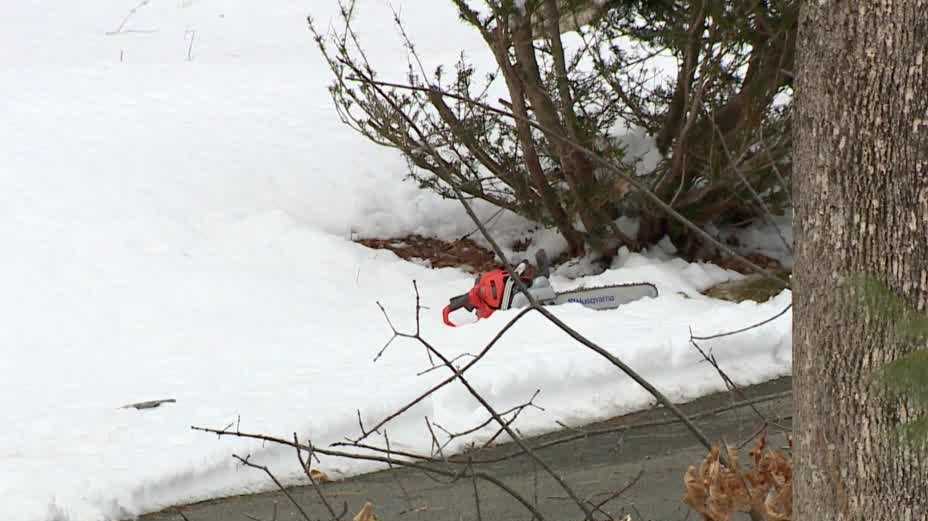 Man dead after being hit by falling tree limb in Londonderry , NH
