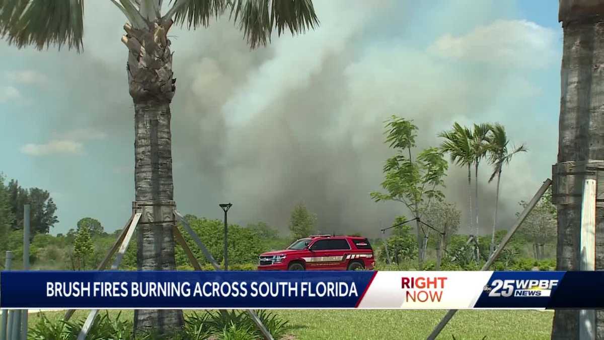Brush fires burning thousands of acres across the state
