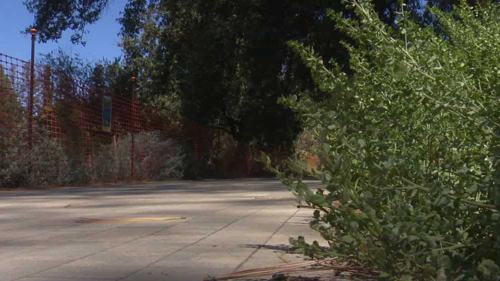 Davis man accused of kidnapping woman from UC campus, police say