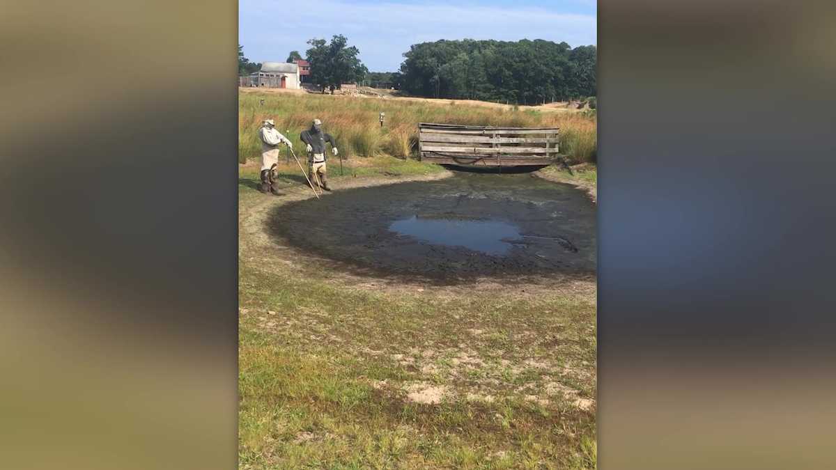 'Really, really, dry;' Mass. farm shows struggle of growing in drought