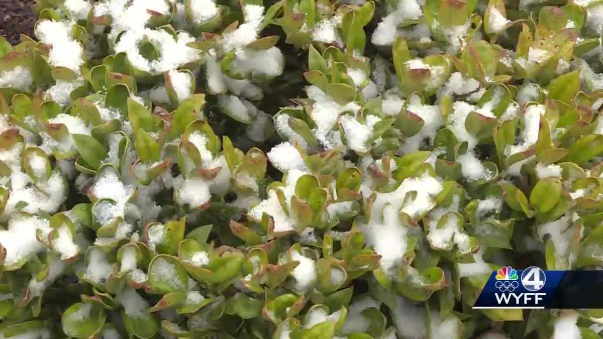 Fall flurries bring snow day, potential hazards to Western North Carolina