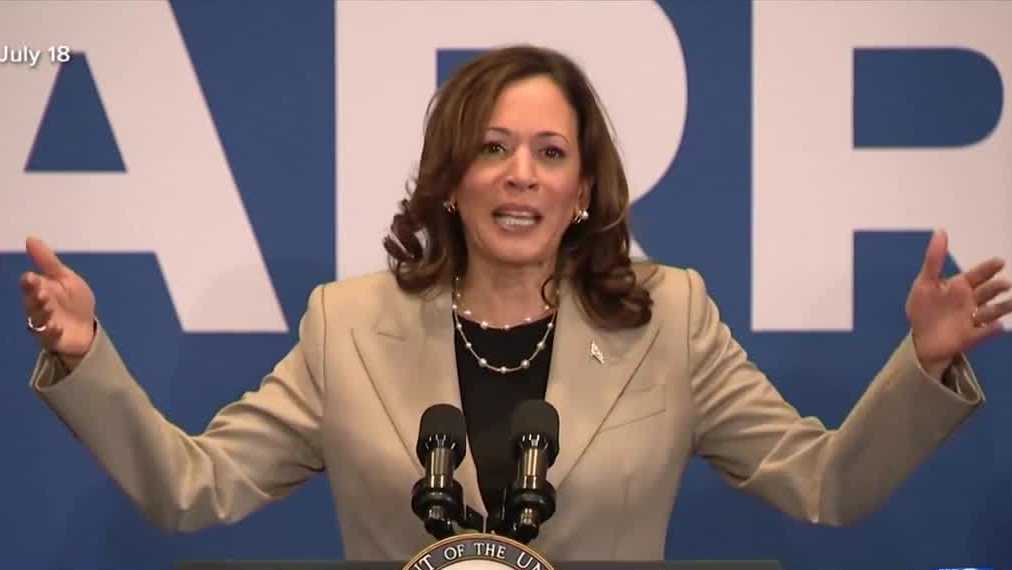Milwaukee Democratic delegates pledge support for Kamala Harris