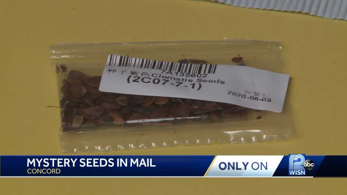Woman says she received mysterious seeds from China in the mail