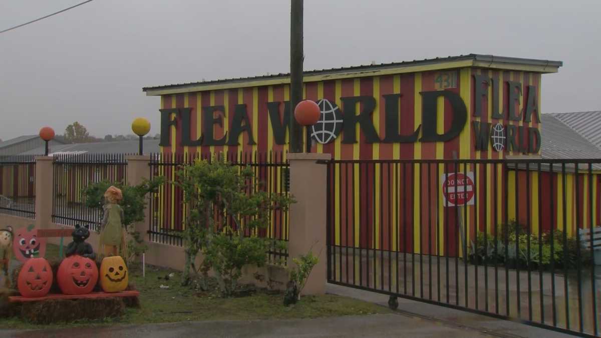 Flea World’s owner planning to close down, redevelop