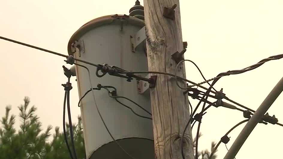Are you for or against 'Pine Tree Power?'