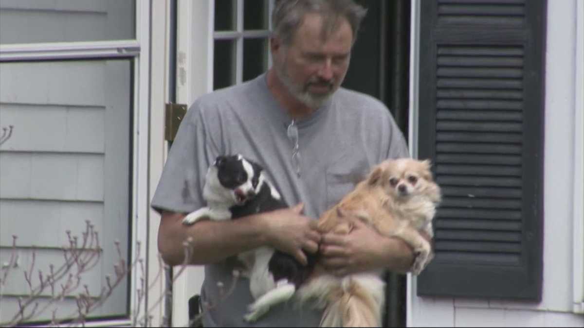 50 dogs rescued from kennel fire