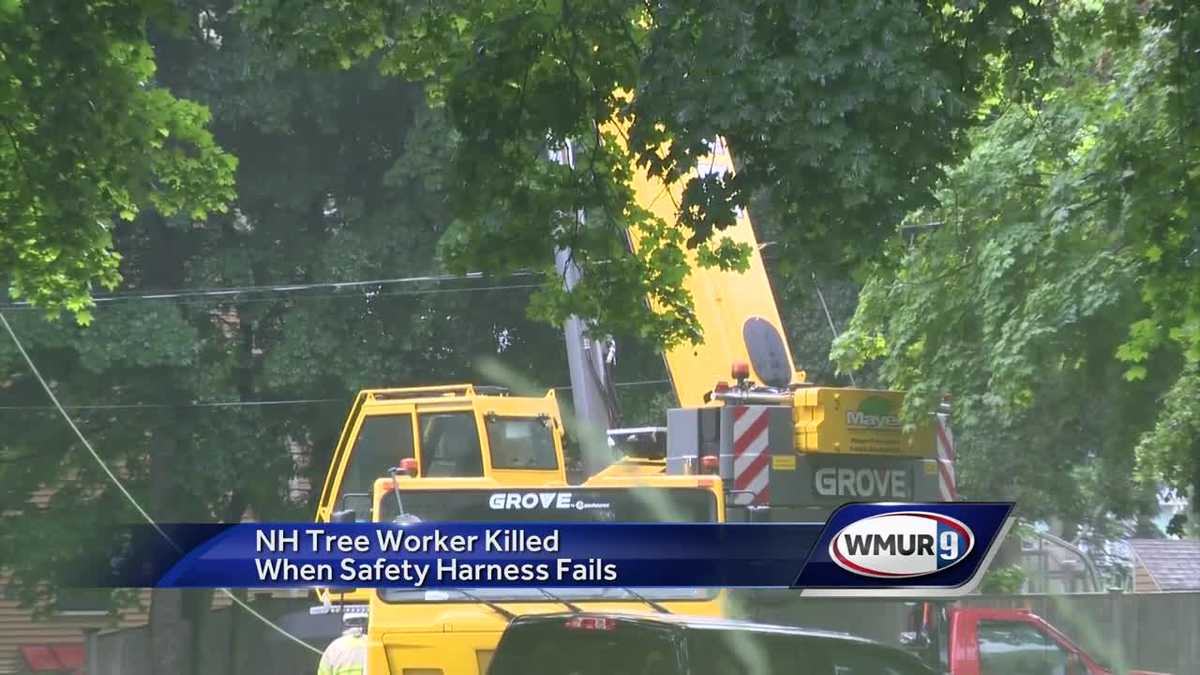 NH man tree worker dies in fall
