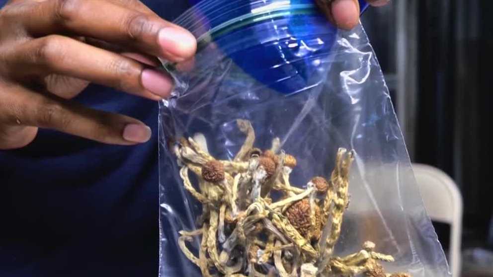 What to know about microdosing psychedelics What to know about microdosing psychedelics
