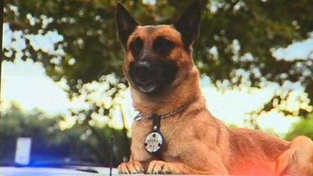 Twin Rivers Police Chief resigns following K-9 controversy