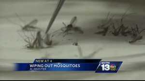 Mosquitoes in Alabama are more than a nuisance