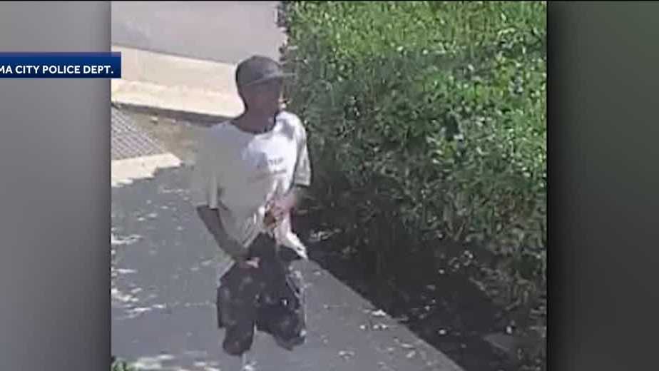 Police look for suspect in knifepoint robbery near Myriad Gardens