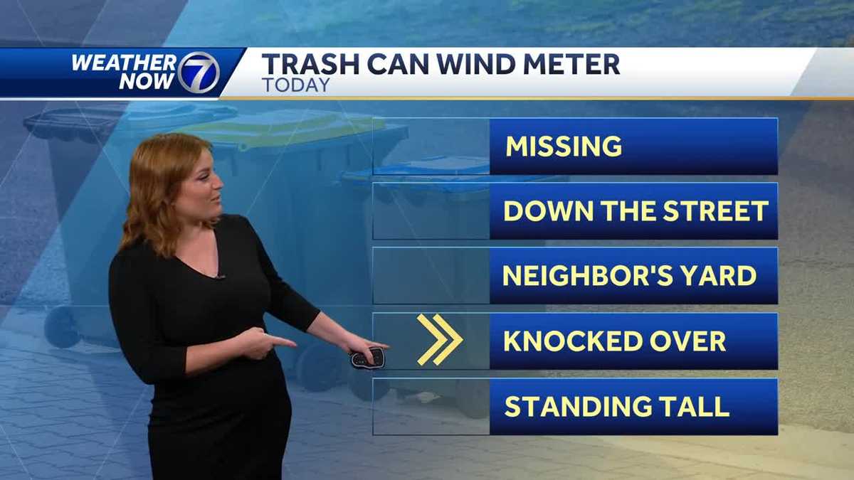 Cool and windy Monday