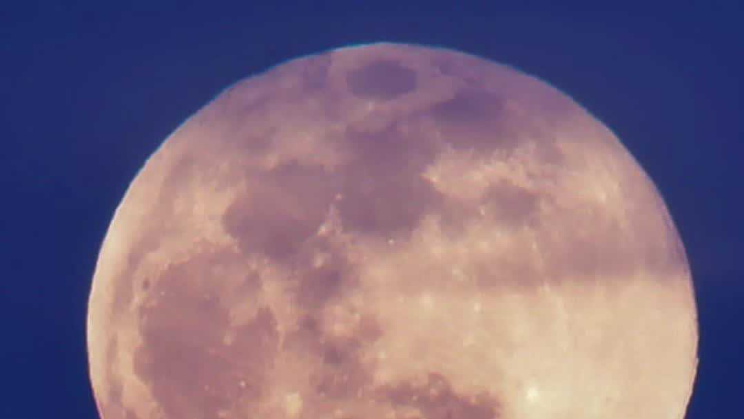 Pink Supermoon lights up the sky