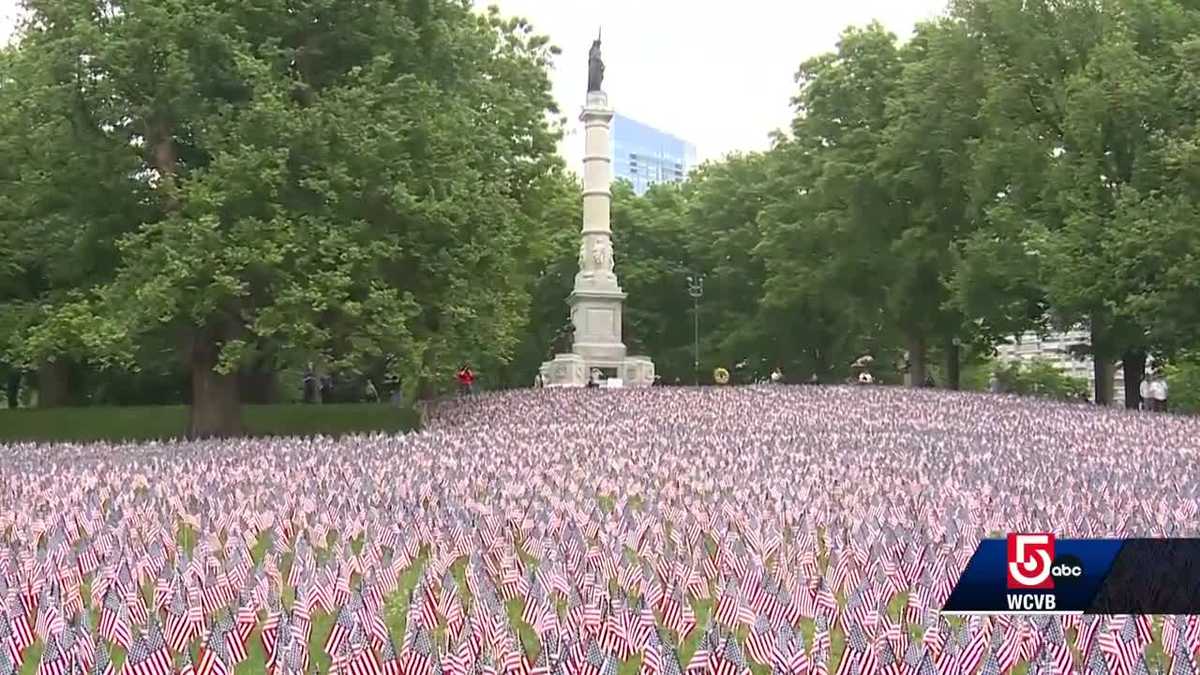 37K flags mark those who sacrificed their lives for country