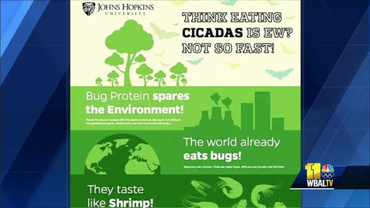 Health benefits of eating cicadas