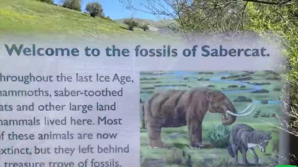 Learn about the history behind Sabercat Park in Fremont