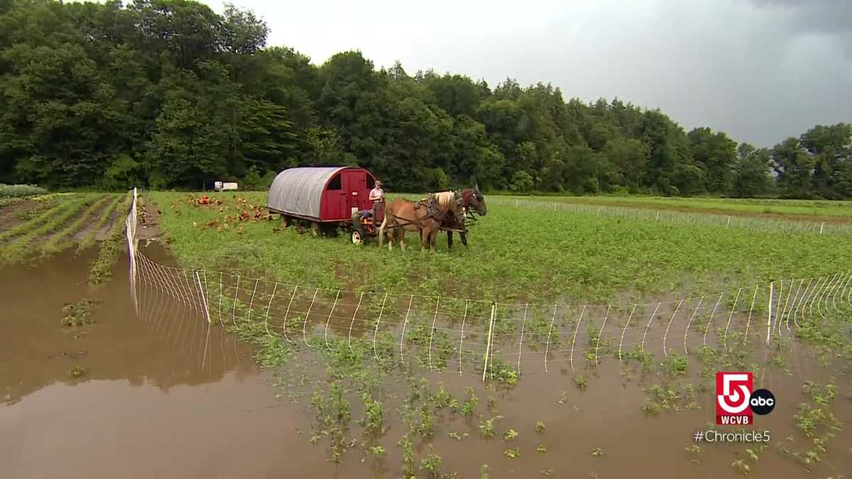 Mass. farm has 100% crop loss as result of Vermont flooding