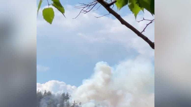 Multiple crews battle wildfire in Albany