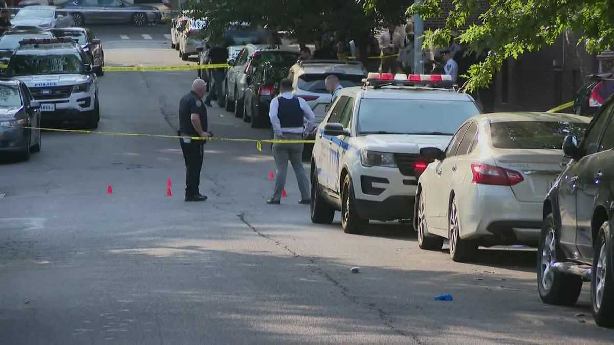 Police: 2 children, 2 adults wounded in shooting at New York park