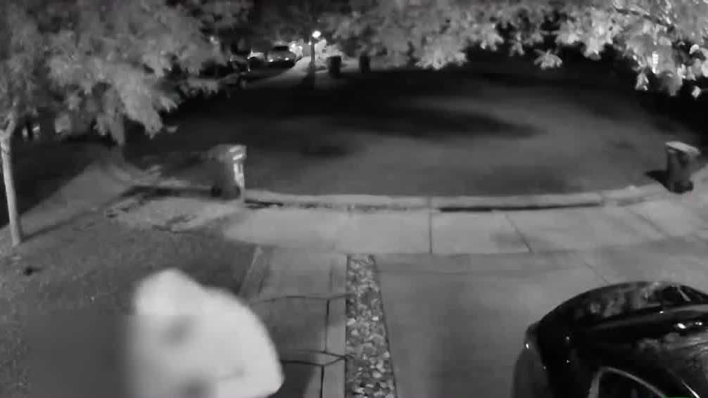 California family wakes up to severed pig head on front door step