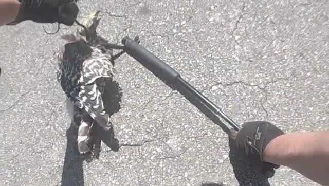 Florida deputies save hawk with snake wrapped around its neck
