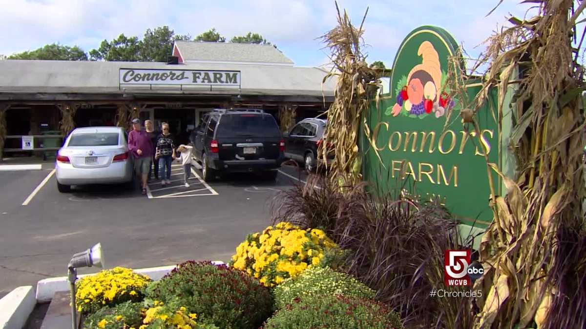 Agri-tainment at Connors Farm