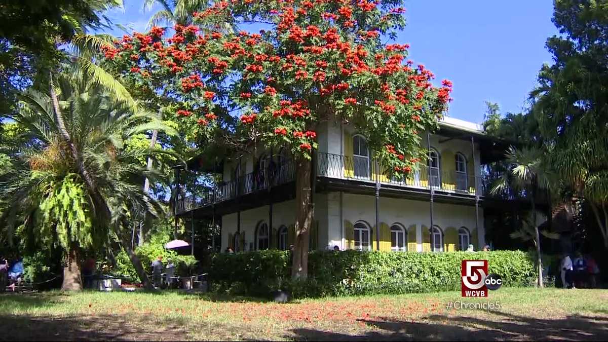 The Keys: Visiting the Hemingway Home