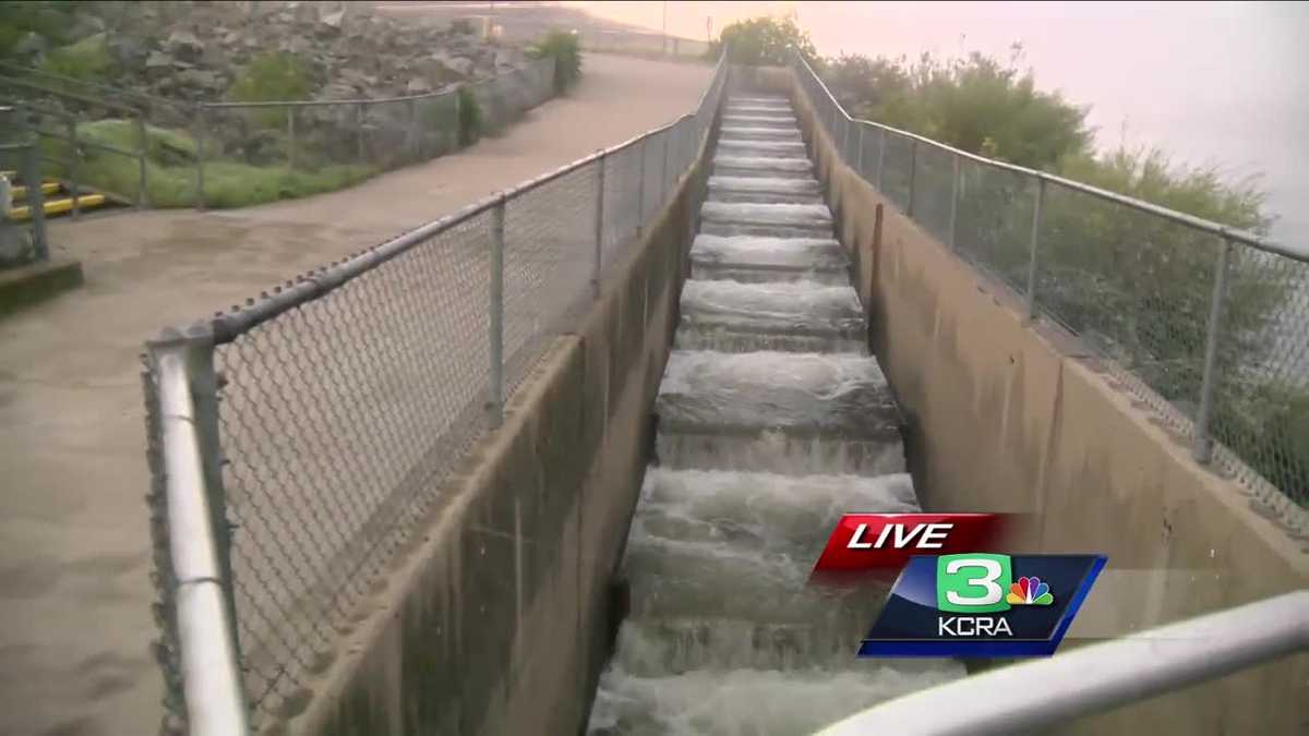 Nimbus Fish Hatchery opens ladder for fall run salmon