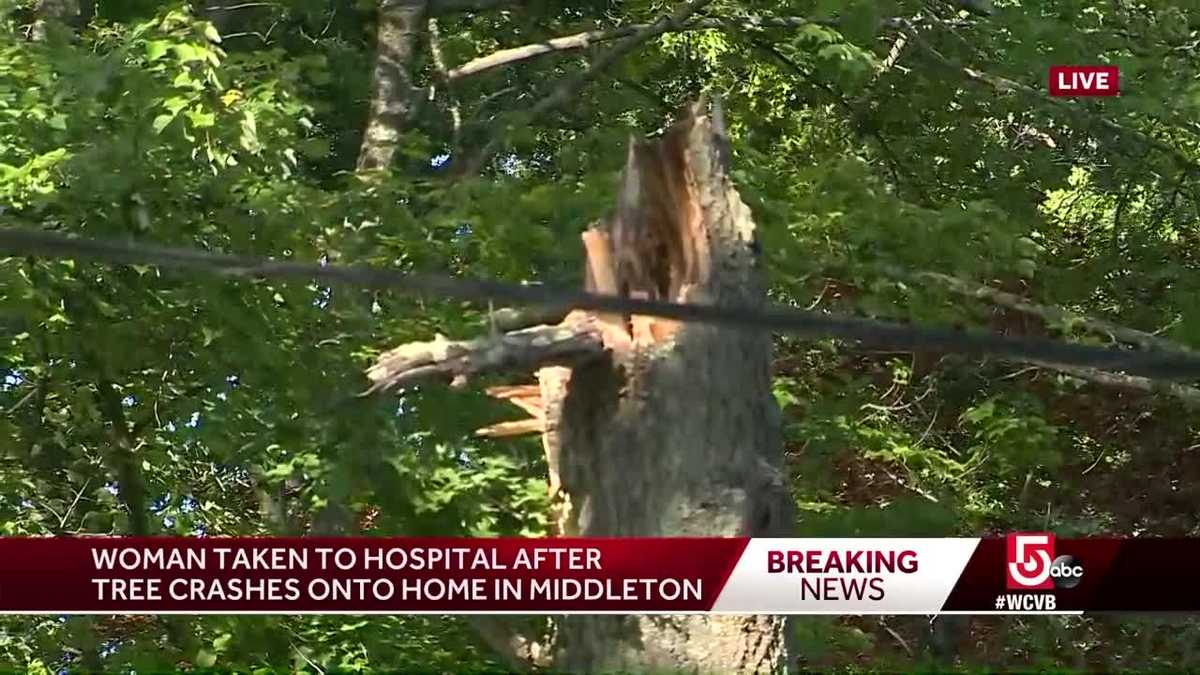 Woman taken to hospital after tree falls on home