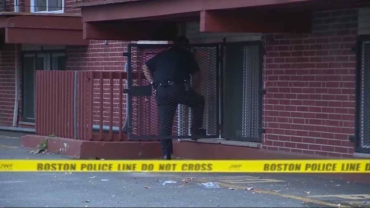 Police officer injured in altercation
