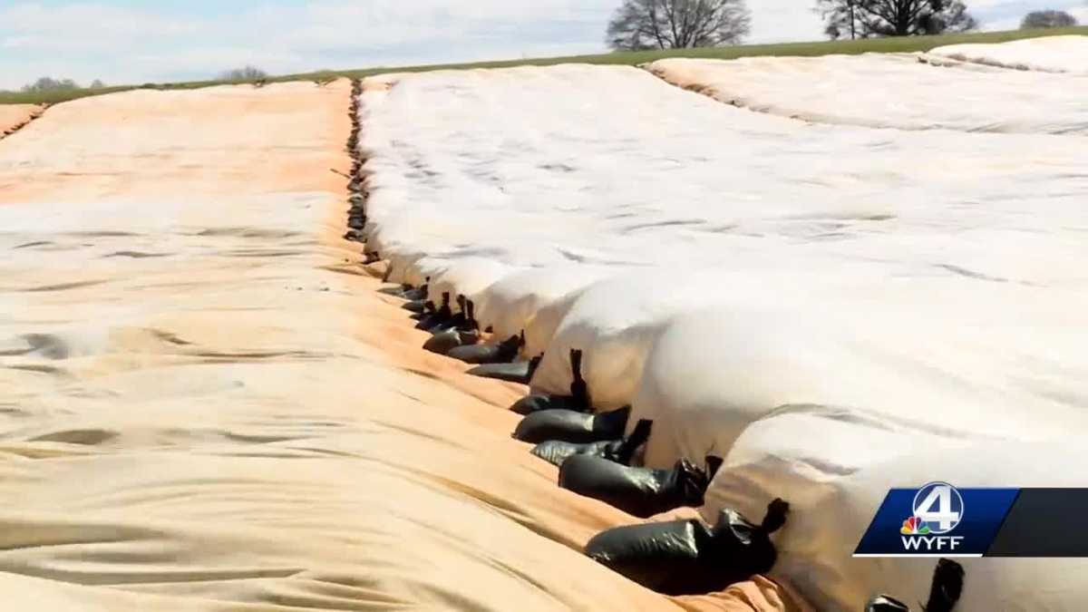 Cold and windy weather conditions impact Upstate farmer's crops