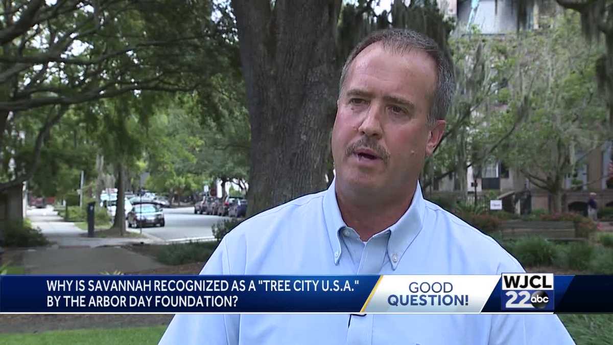 Why is Savannah recognized as a "Tree City"? Good question