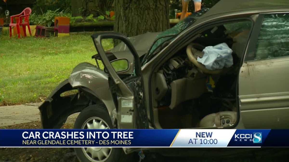 Police investigate car crash into tree