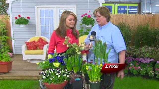 Ava ushers in spring with planting tips
