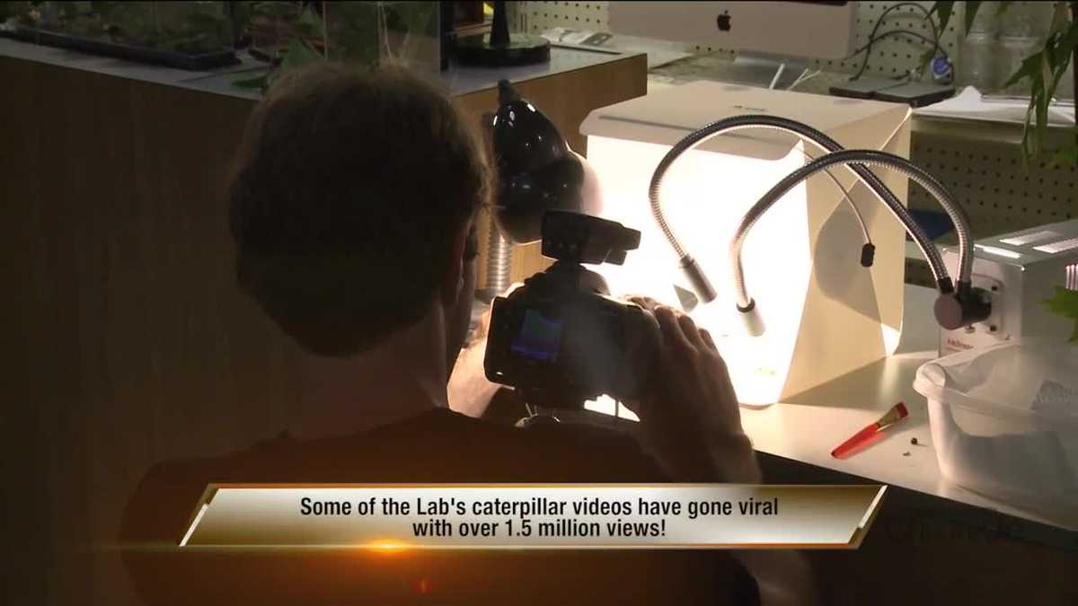 Thursday, October 6th: The Caterpillar Lab