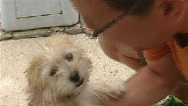 Meet Rambo: the 'unofficial mascot' of the Edwards Press Corp