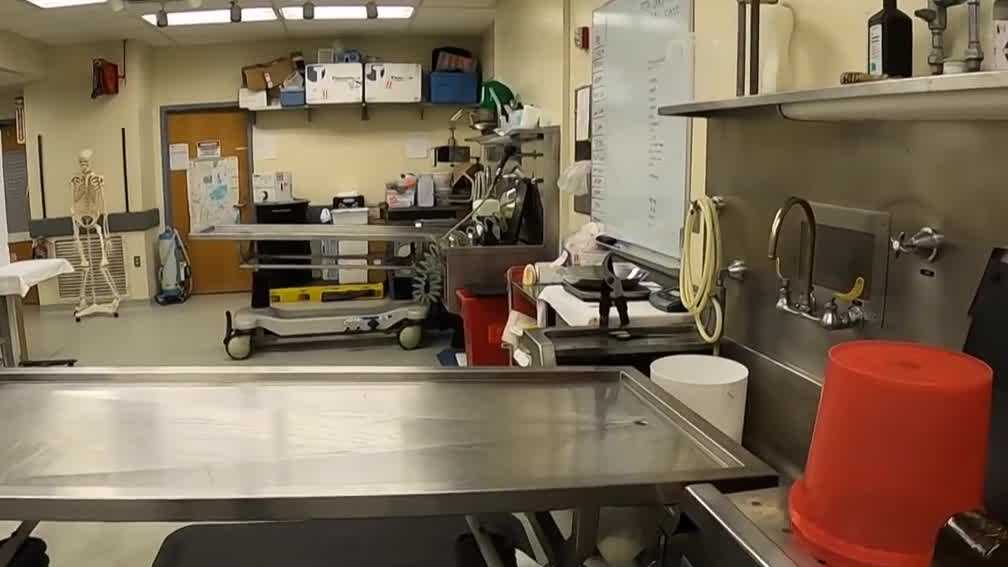 Outrage after former morgue manager accused of selling body parts
